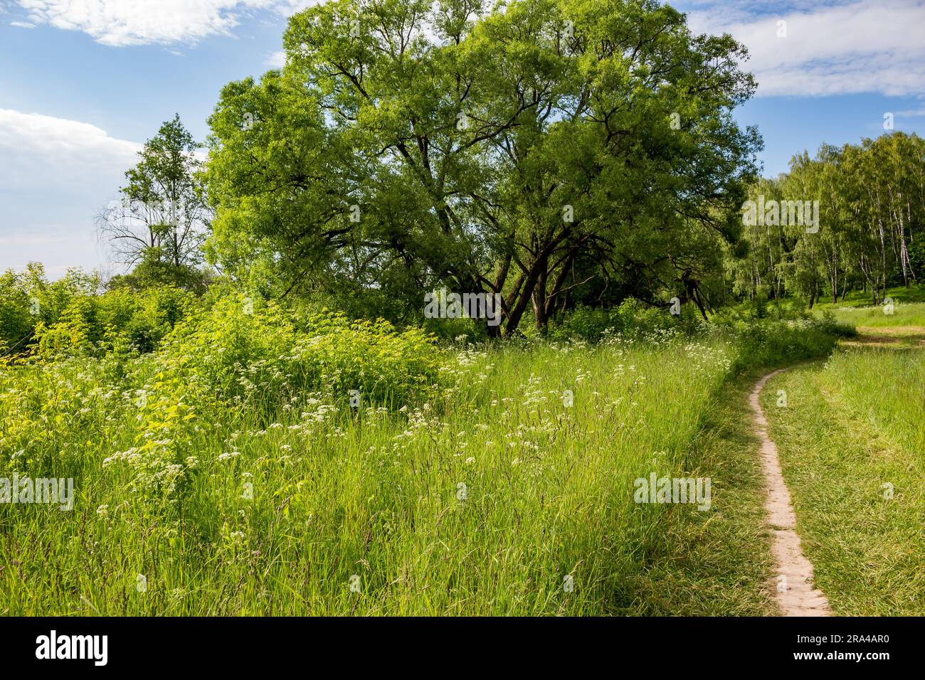 Beautiful green landscape overlooking a walking path running among ...