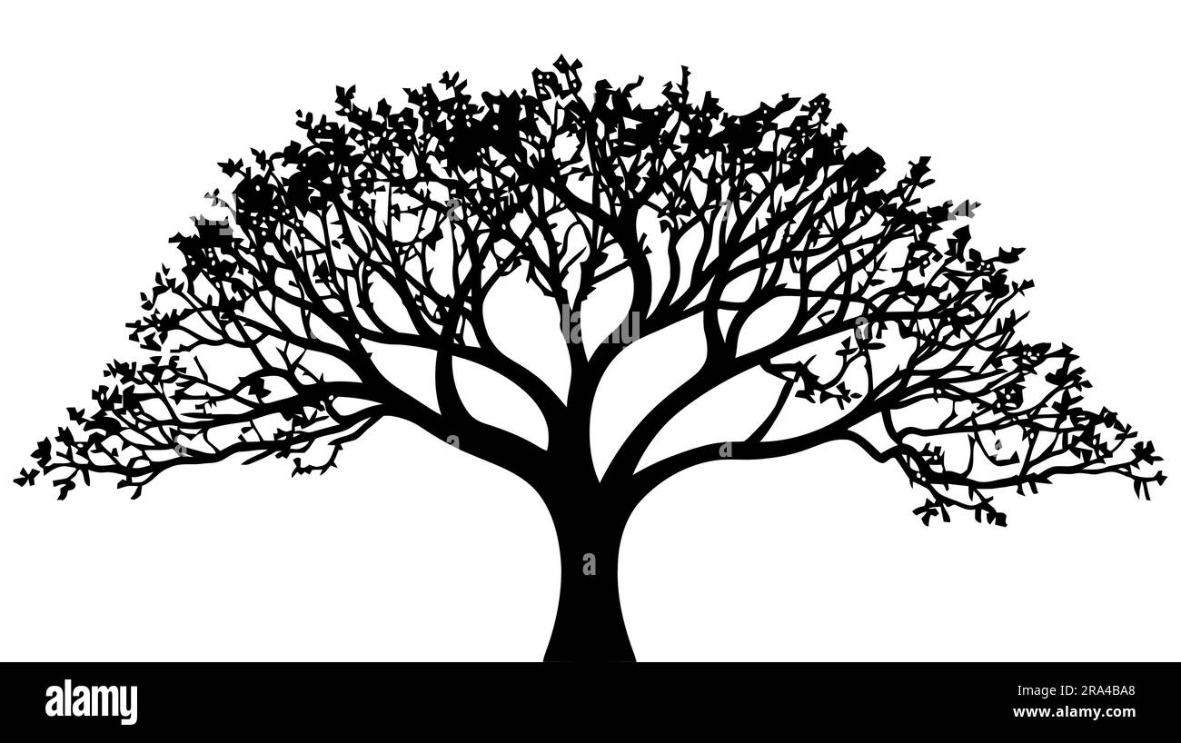 Black tree silhouette isolated on white background. Vector illsutration ...
