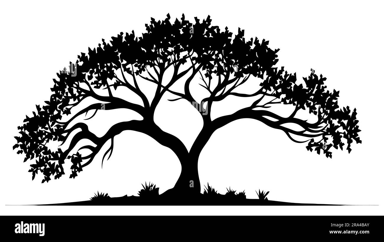 Black tree silhouette isolated on white background. Vector illsutration ...