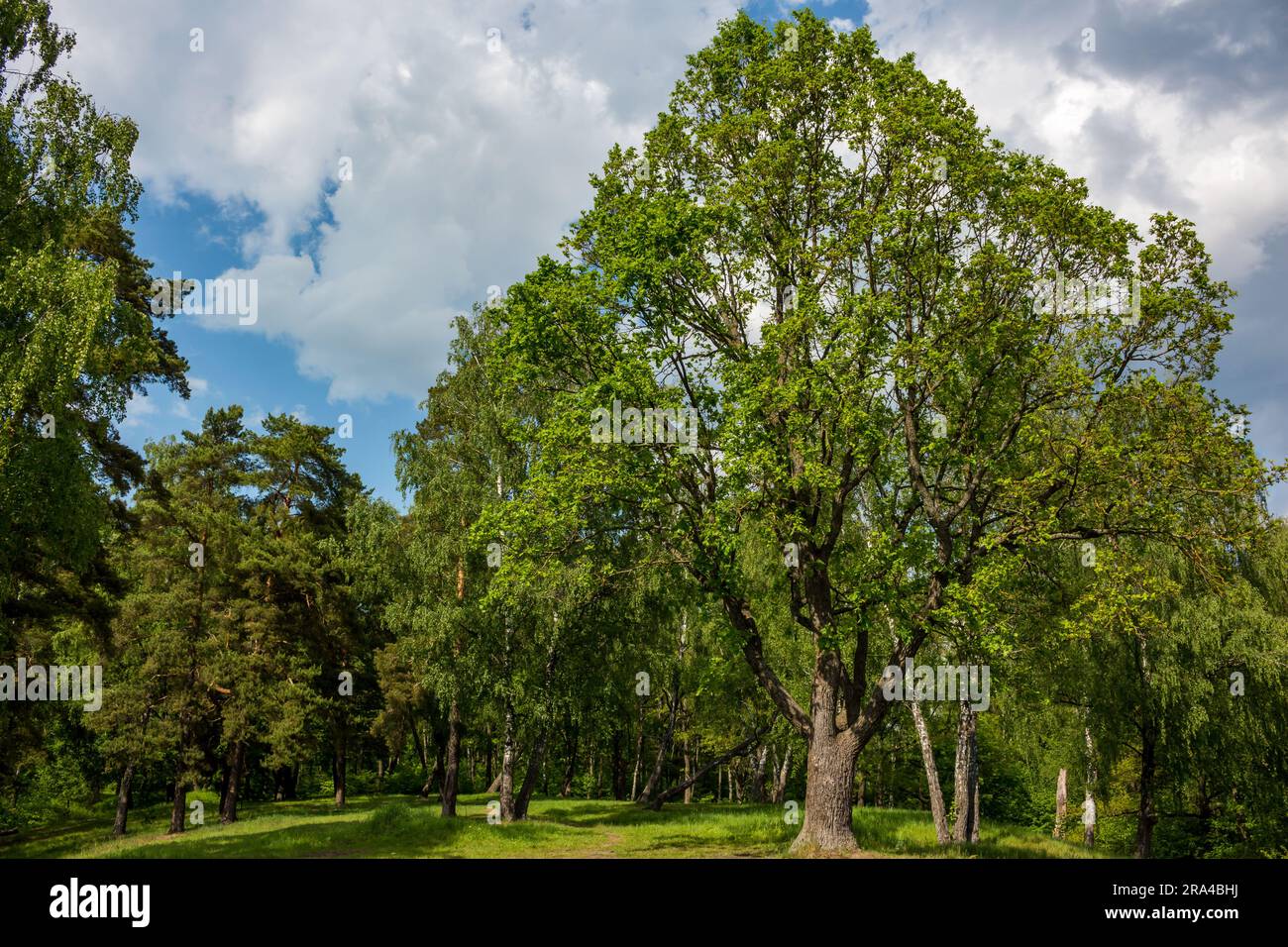 Sprawling field hi-res stock photography and images - Alamy