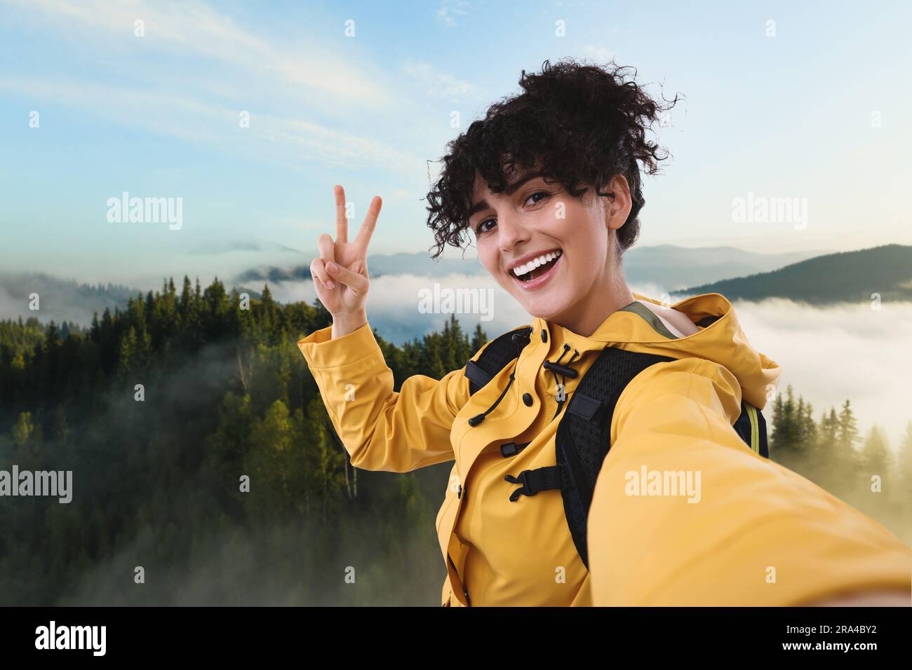 Aerial photography in beautiful fir hi-res stock photography and images ...