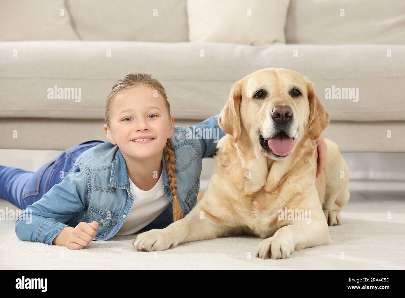 Cute child hugging her Labrador Retriever on floor at home. Adorable ...