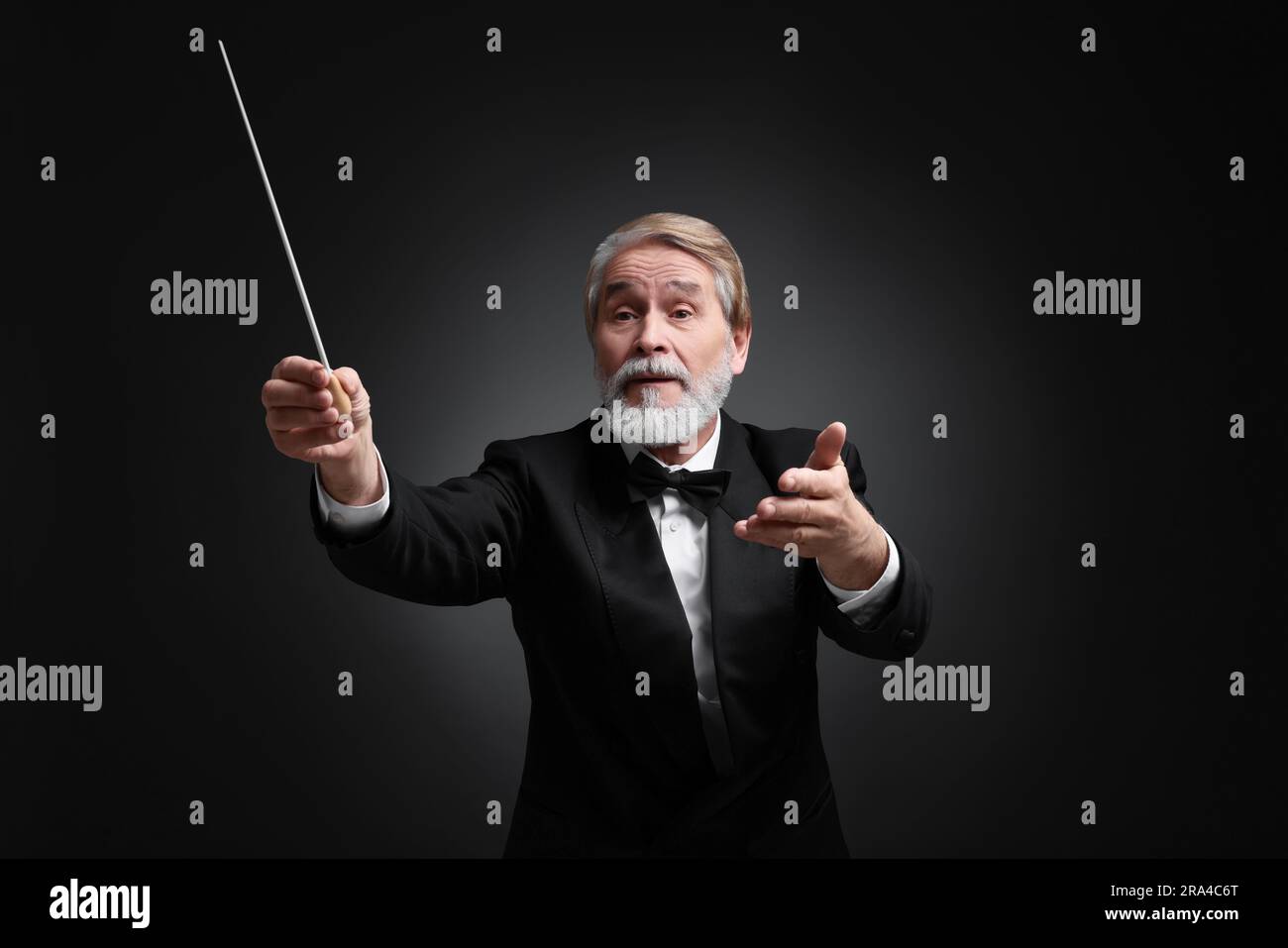 Professional conductor with baton on black background Stock Photo - Alamy