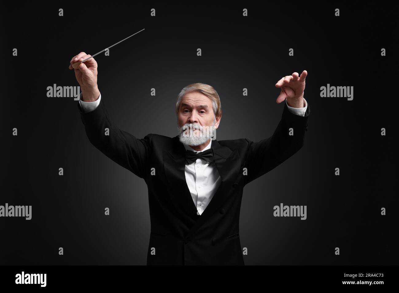 Professional conductor with baton on black background Stock Photo - Alamy