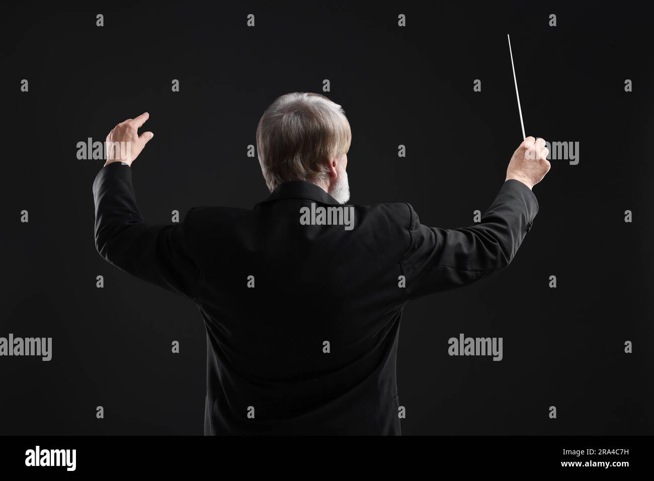 Professional conductor with baton on black background, back view Stock ...