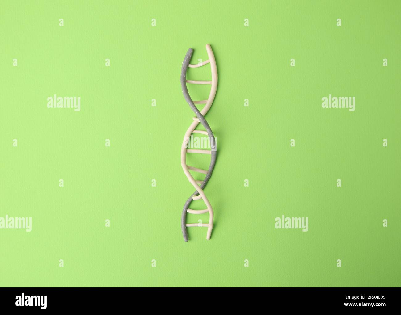 Plasticine model of DNA molecular chain on green background, top view ...
