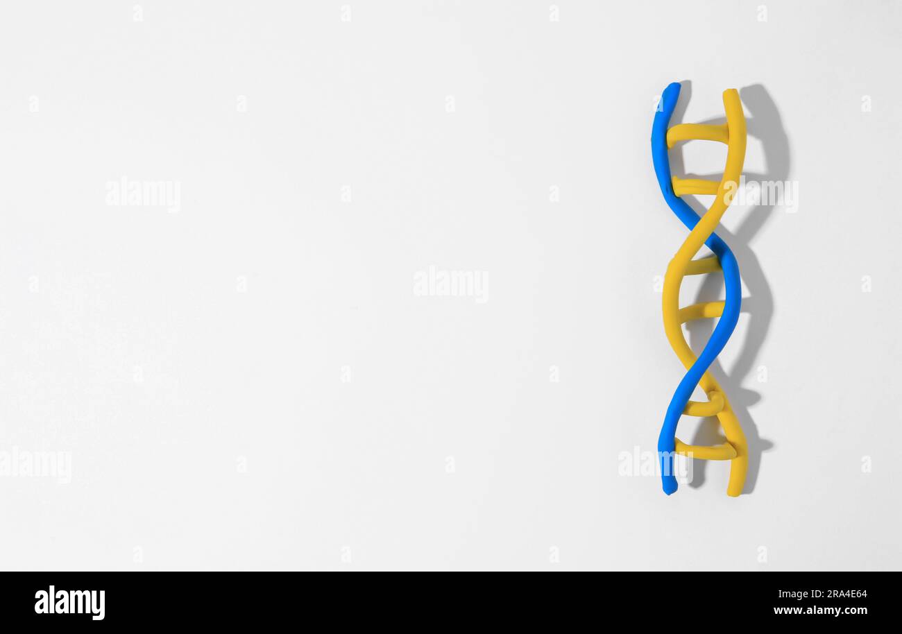 DNA molecule model made of colorful plasticine on white background, top ...