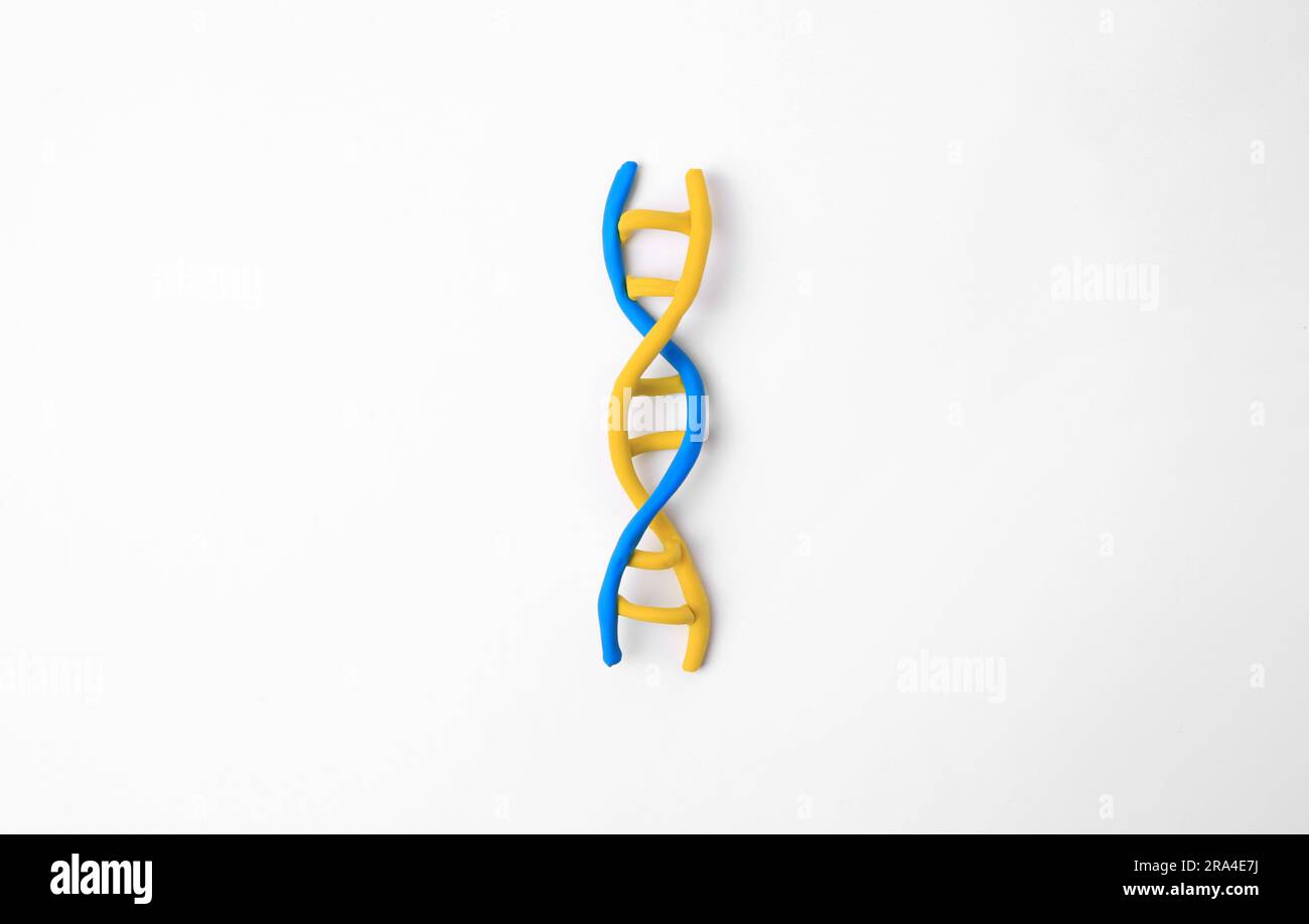 Dna molecule model hi-res stock photography and images - Alamy