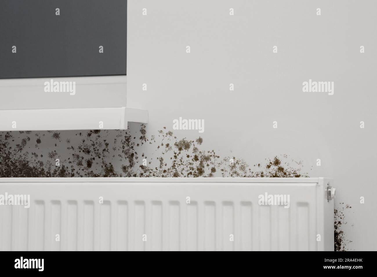 Mold around panel radiator on wall in room Stock Photo - Alamy