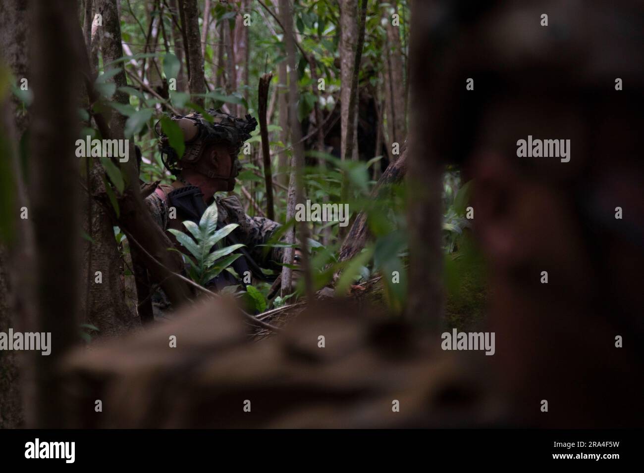 A U.S. Marine with Advanced Infantry Training Battalion, School of ...