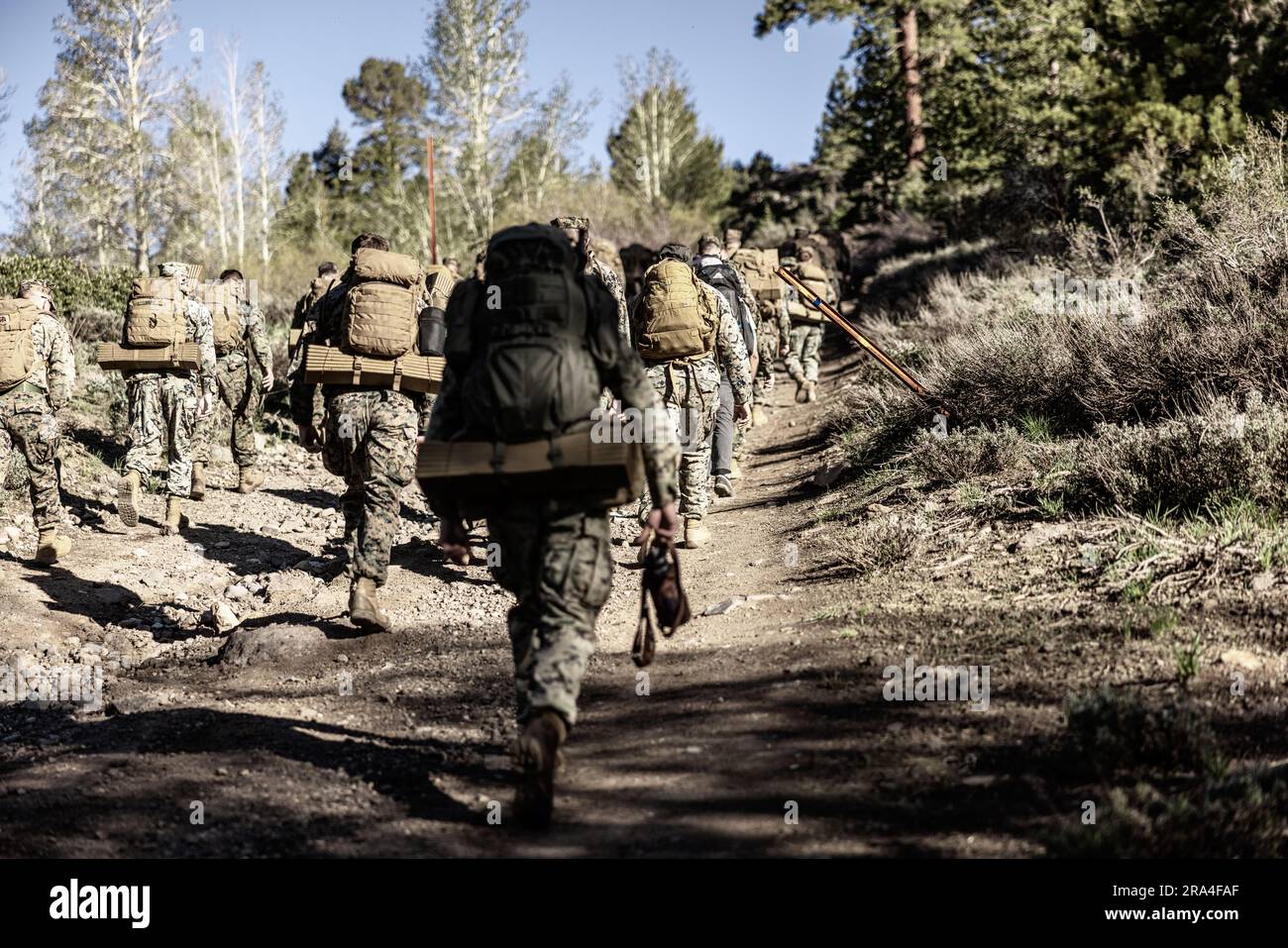 U.S. Marines with 4th Marine Division hike to Mean Peak to conduct a ...