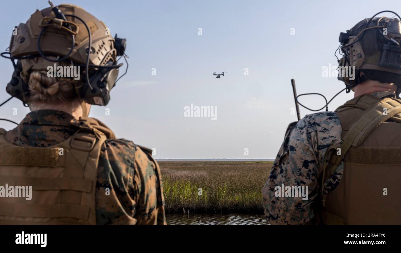 U.S. Marines with 2d Battalion, 6th Marine Regiment, 2d Marine Division ...