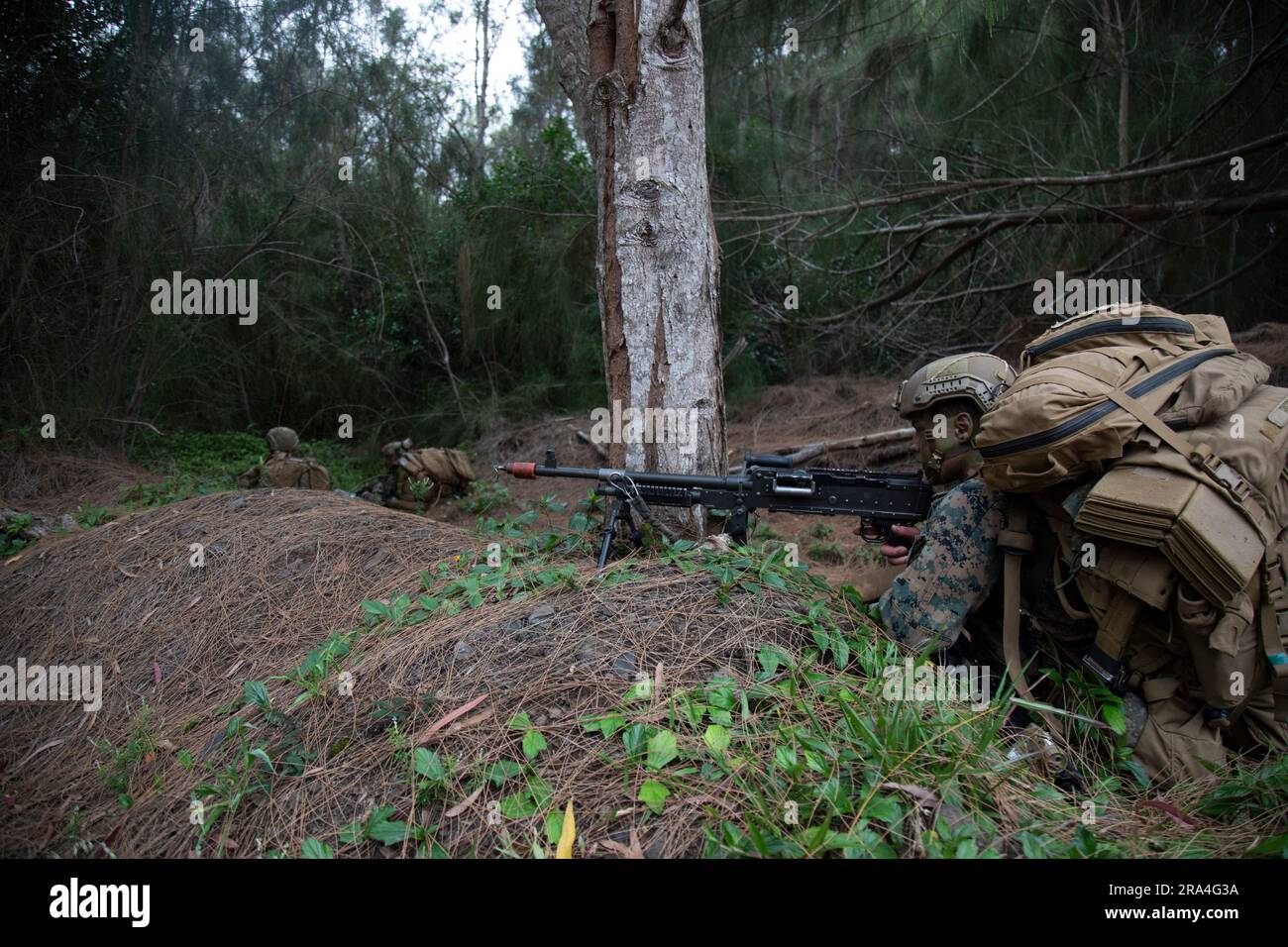 A U.S. Marine with Advanced Infantry Training Battalion, School of ...