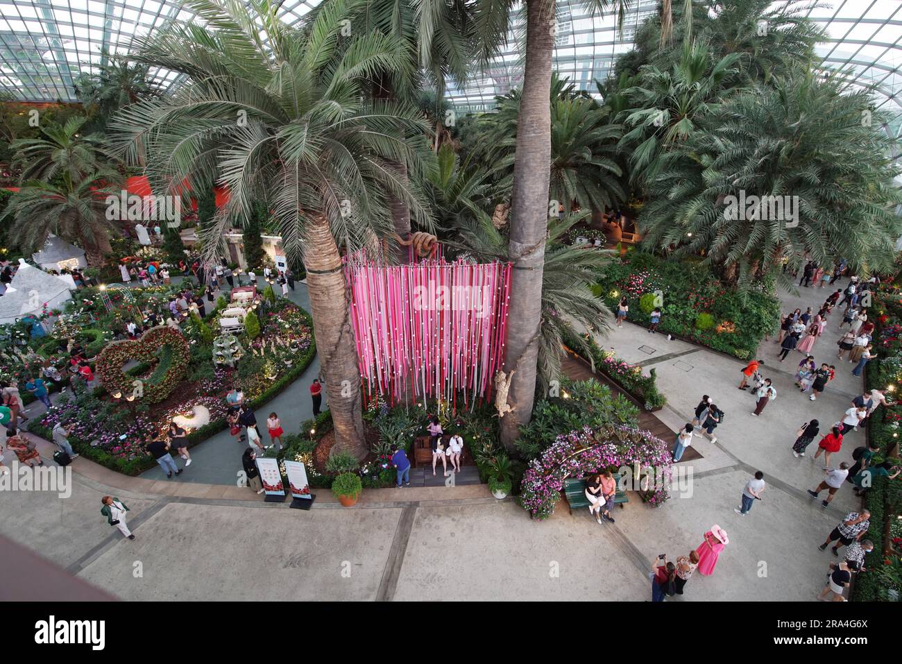 Inside the Flower Dome, Singapore Stock Photo - Alamy