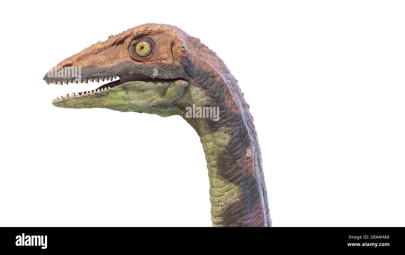 Archaeornithomimus dinosaur, illustration Stock Photo - Alamy