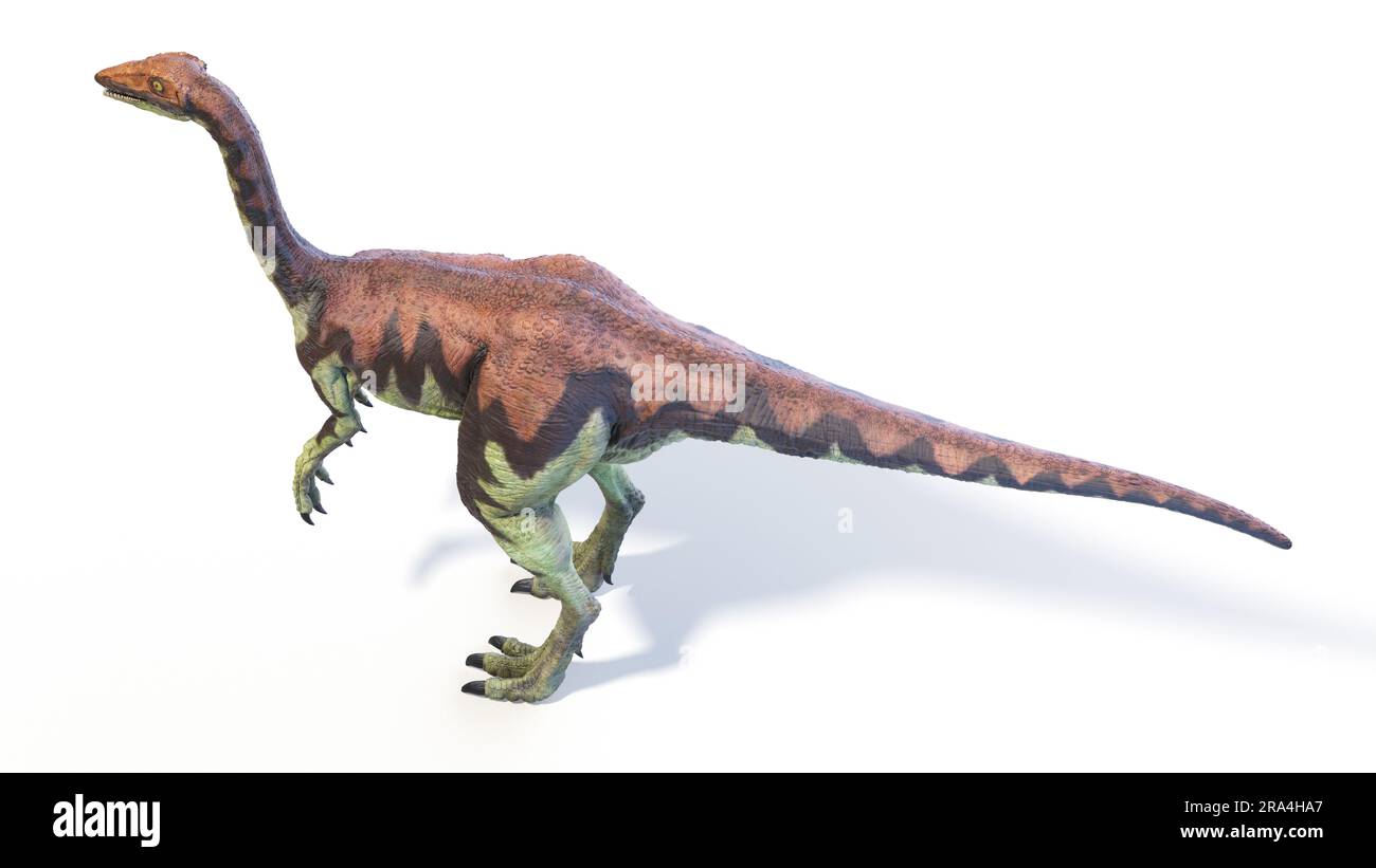 Archaeornithomimus dinosaur, illustration Stock Photo - Alamy