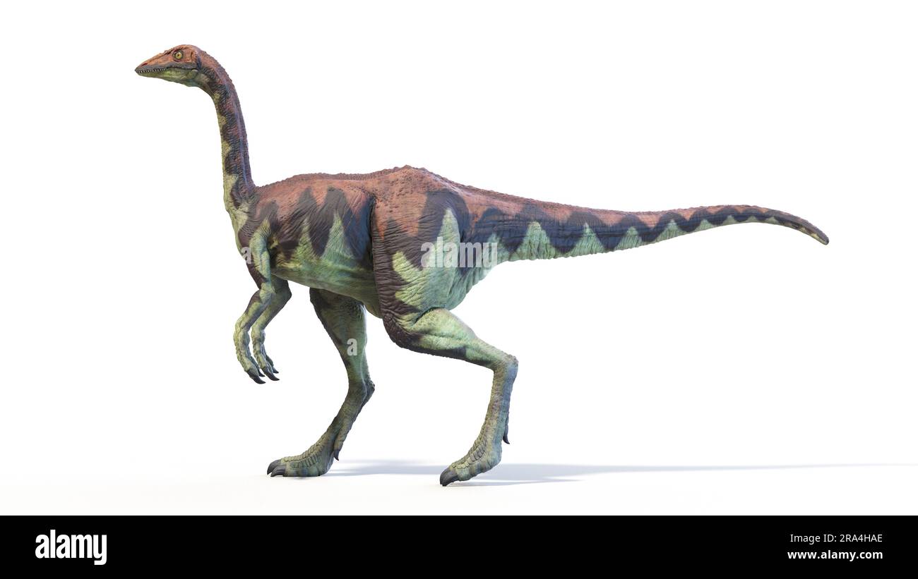 Archaeornithomimus dinosaur, illustration Stock Photo - Alamy