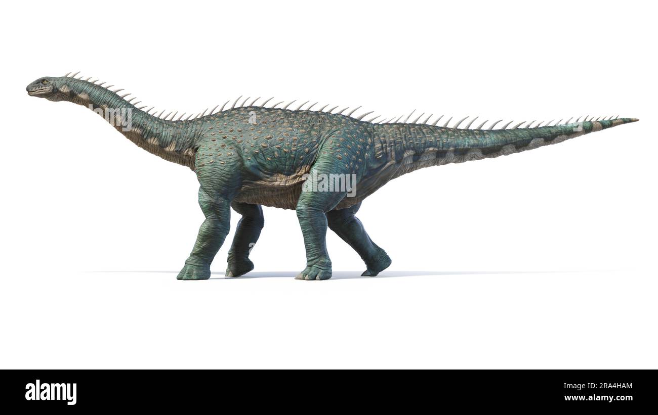 Barapasaurus dinosaur, illustration Stock Photo - Alamy