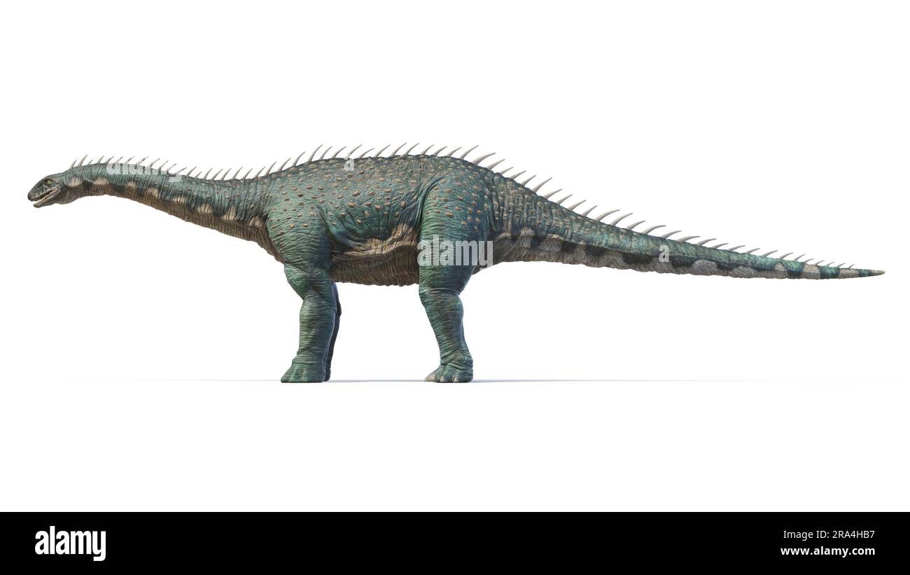 Barapasaurus dinosaur, illustration Stock Photo - Alamy