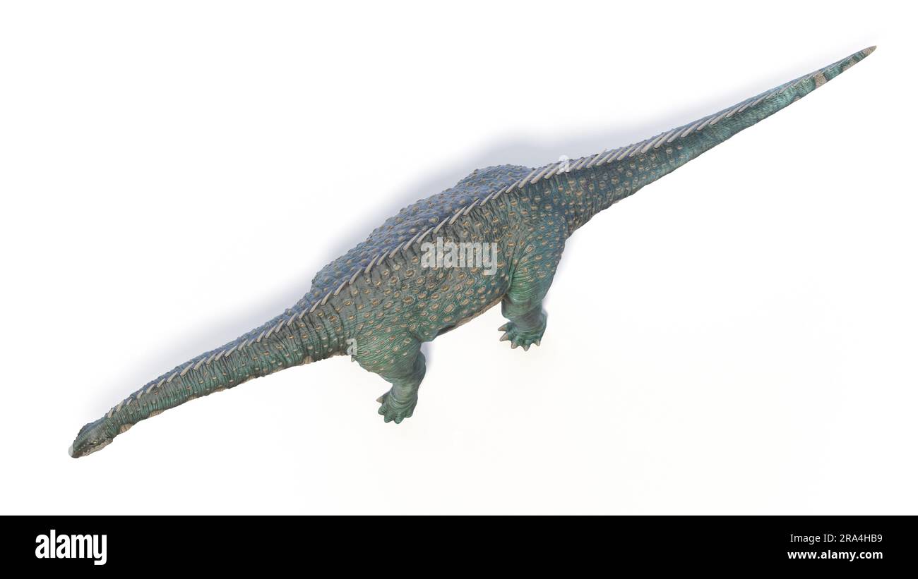Barapasaurus dinosaur, illustration Stock Photo - Alamy
