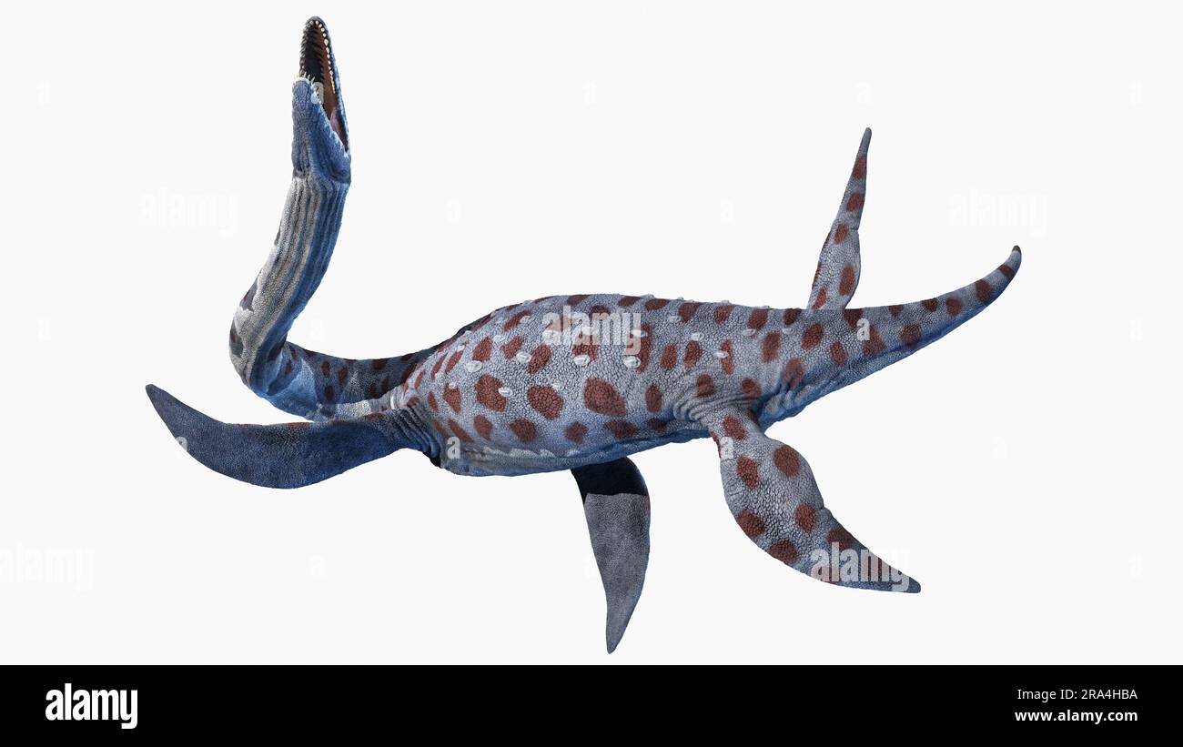 Attenborosaurus plesiosaur, illustration Stock Photo - Alamy