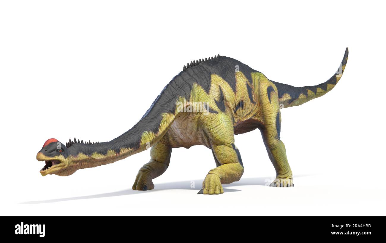 Camarasaurus dinosaur, illustration Stock Photo - Alamy