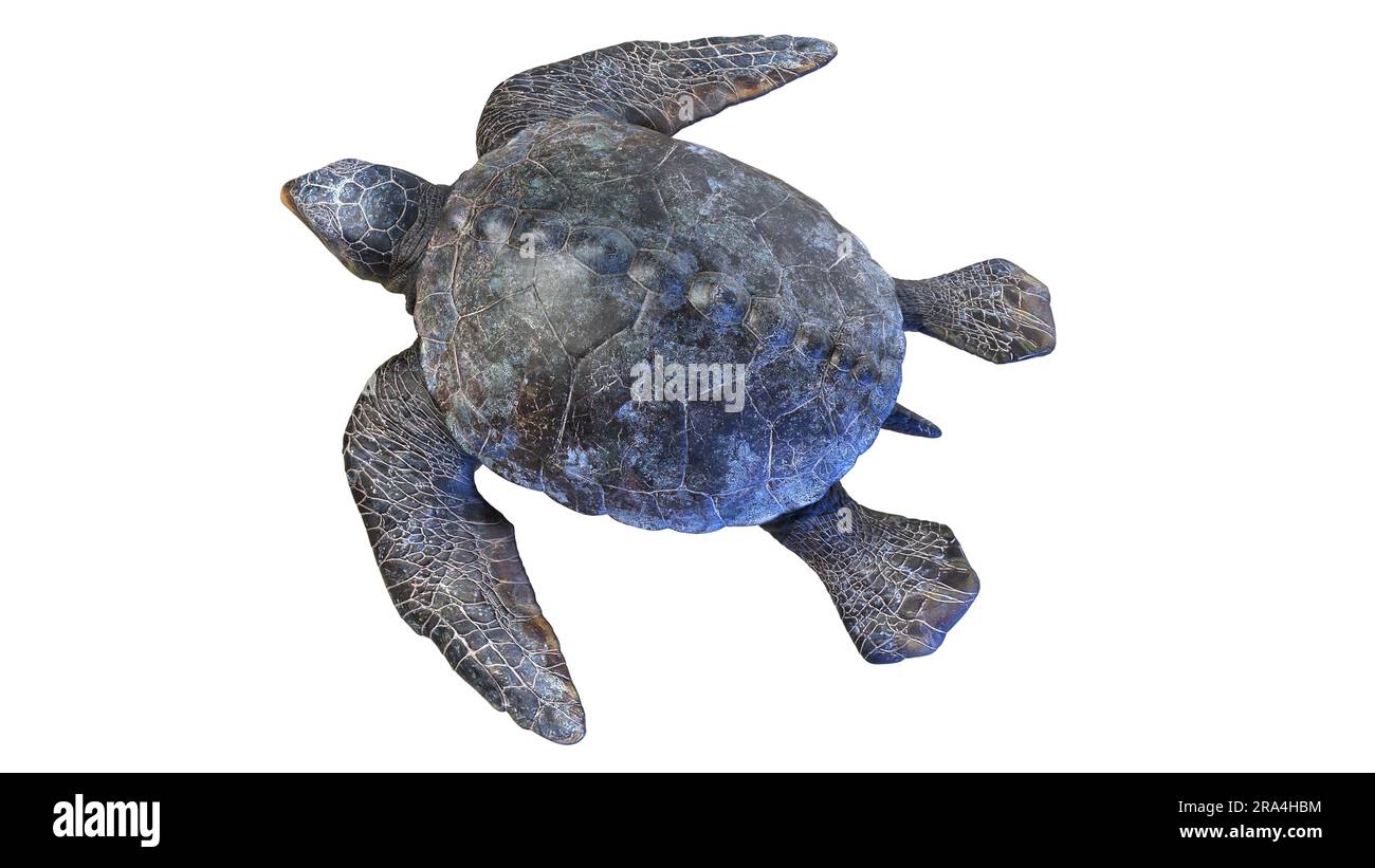 Archelon prehistoric turtle, illustration Stock Photo - Alamy