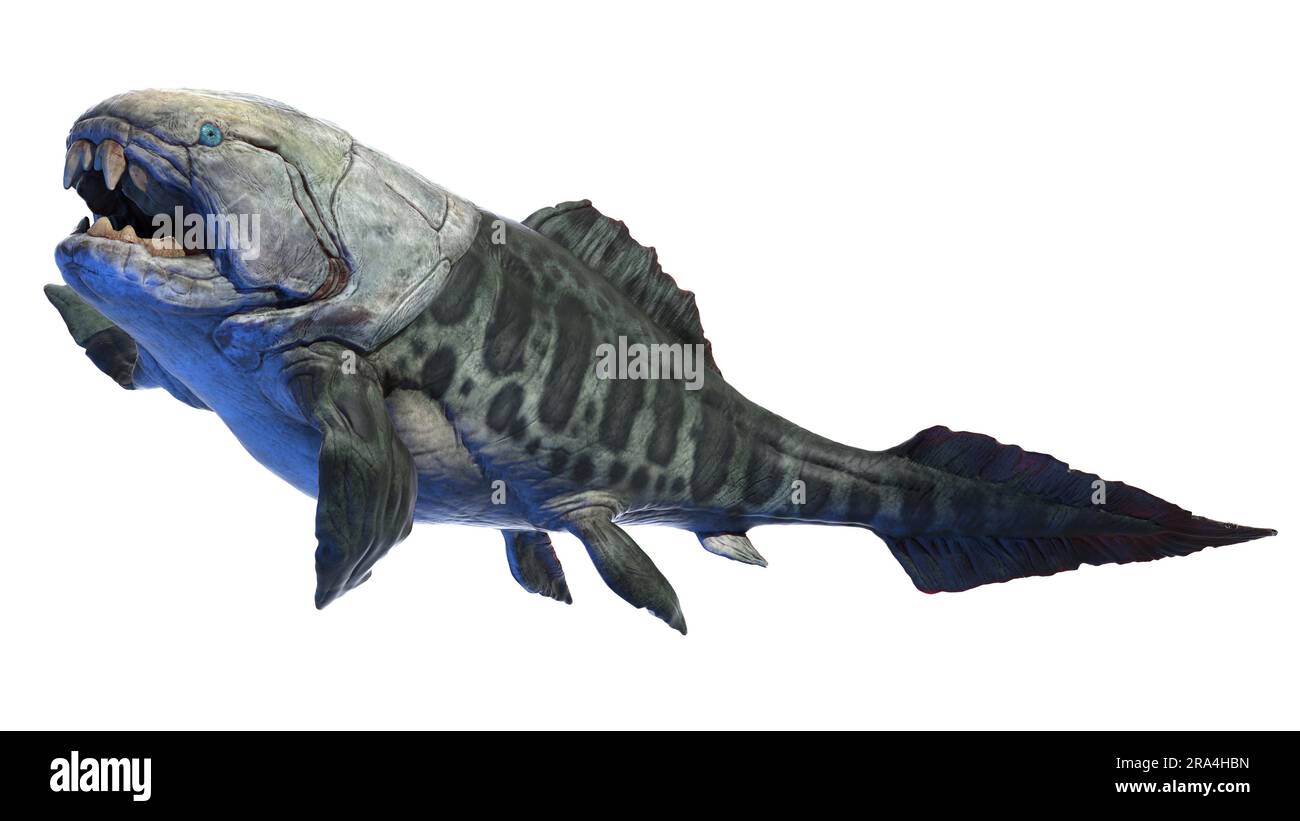 Dunkleosteus prehistoric fish, illustration Stock Photo - Alamy