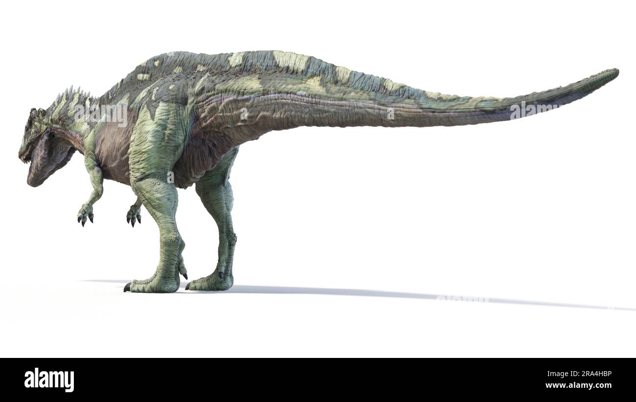 Acrocanthosaurus dinosaur, illustration Stock Photo - Alamy