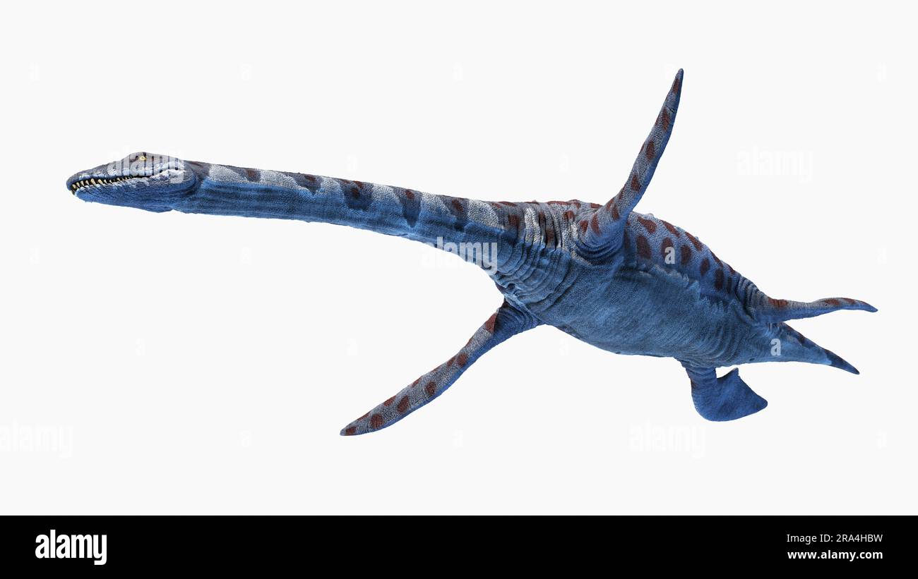 Attenborosaurus plesiosaur, illustration Stock Photo - Alamy