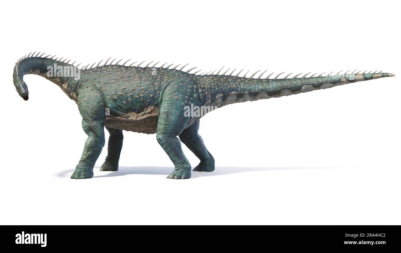 Barapasaurus dinosaur, illustration Stock Photo - Alamy