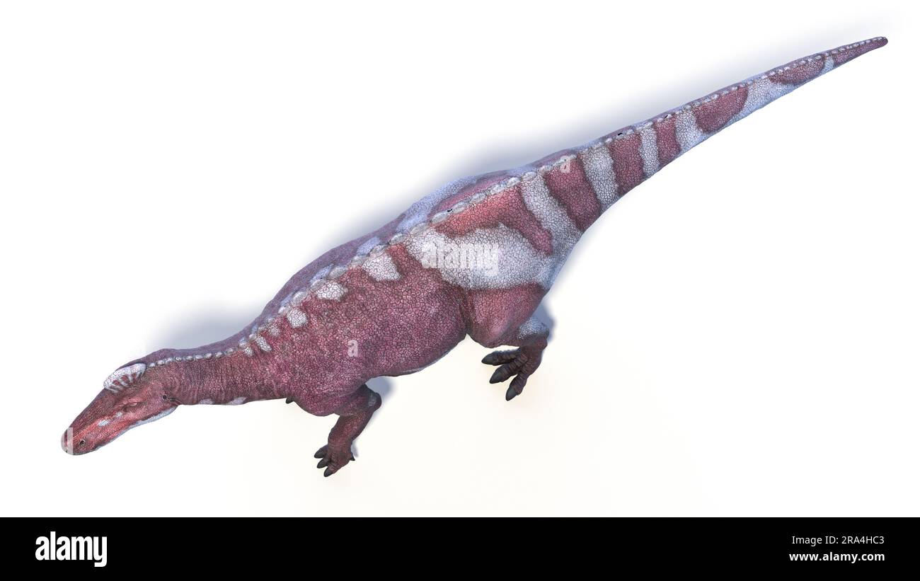 Edmontosaurus Les Dinosaures En Detail