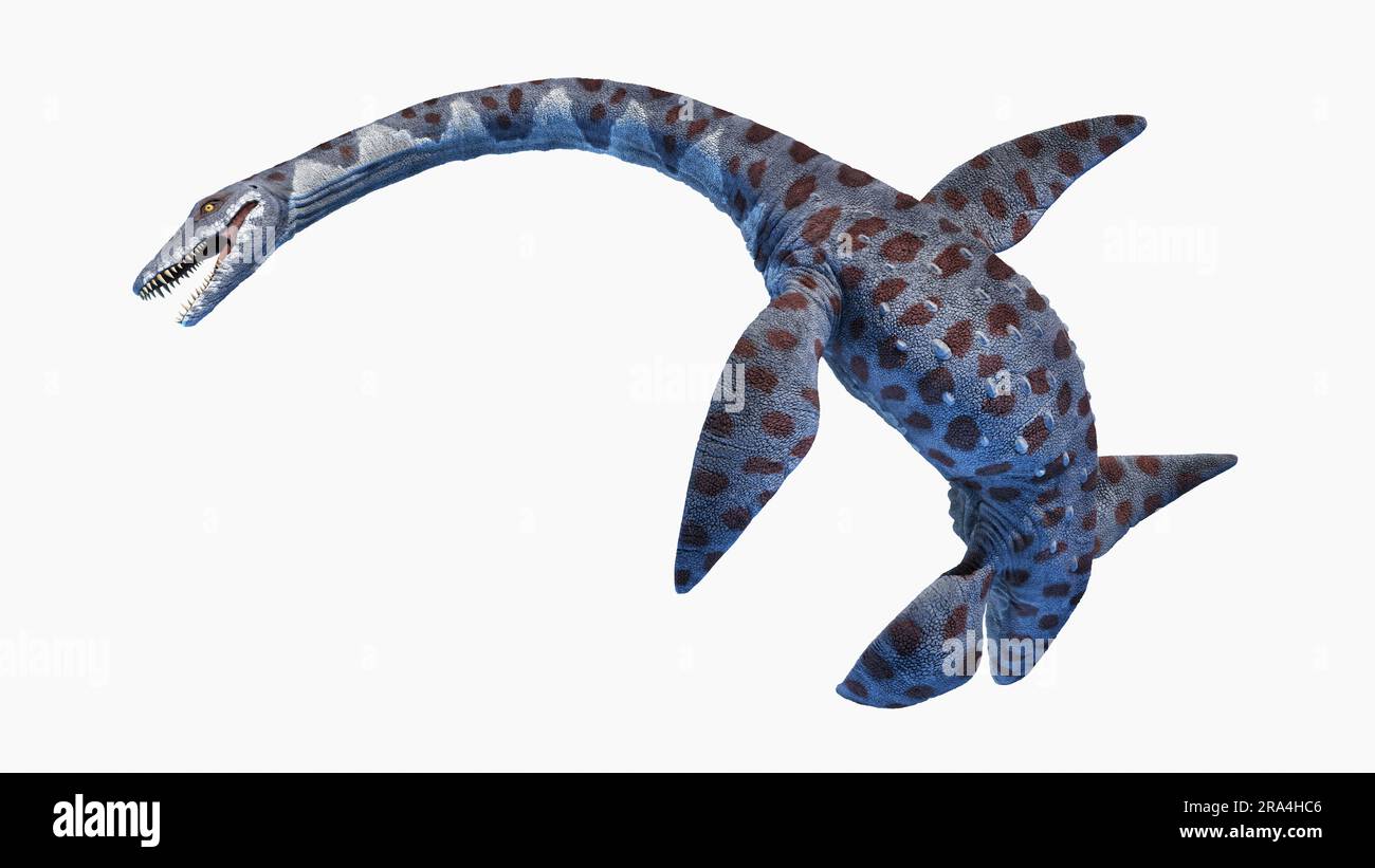 Attenborosaurus plesiosaur, illustration Stock Photo - Alamy