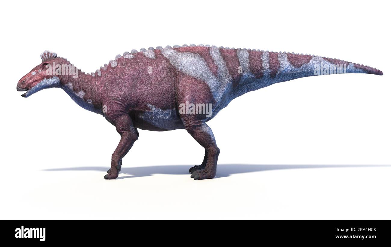 Edmontosaurus Les Dinosaures En Detail