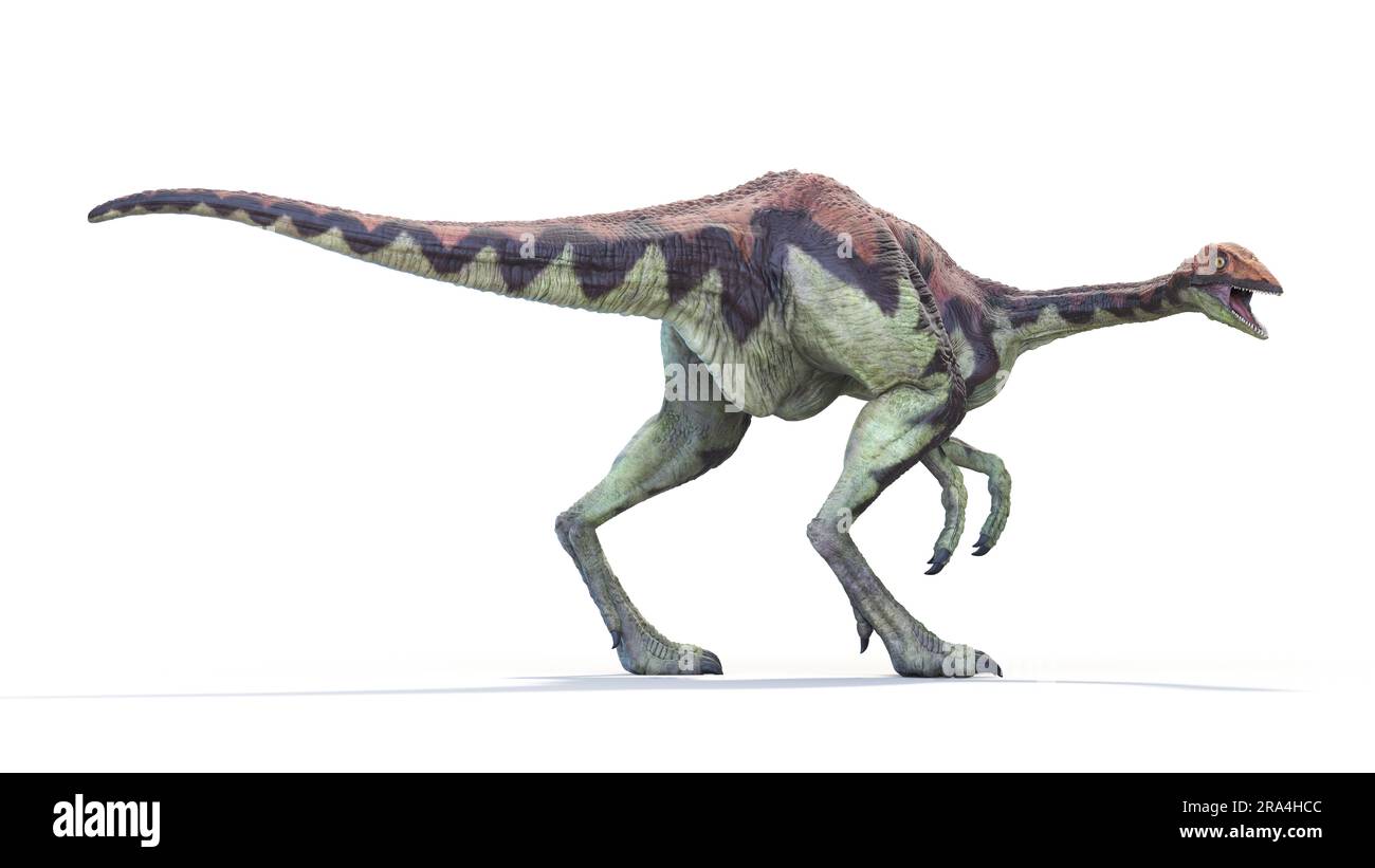 Archaeornithomimus dinosaur, illustration Stock Photo - Alamy