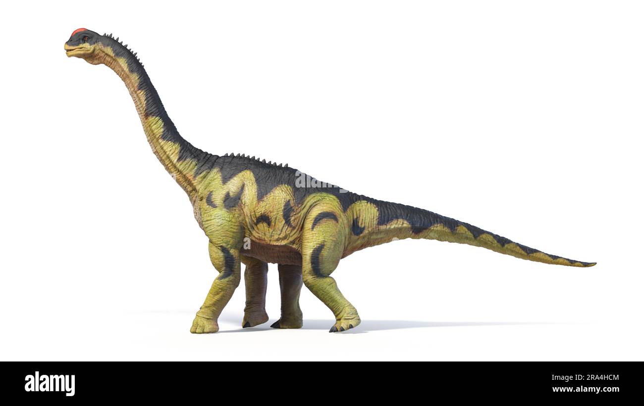 Camarasaurus dinosaur, illustration Stock Photo - Alamy