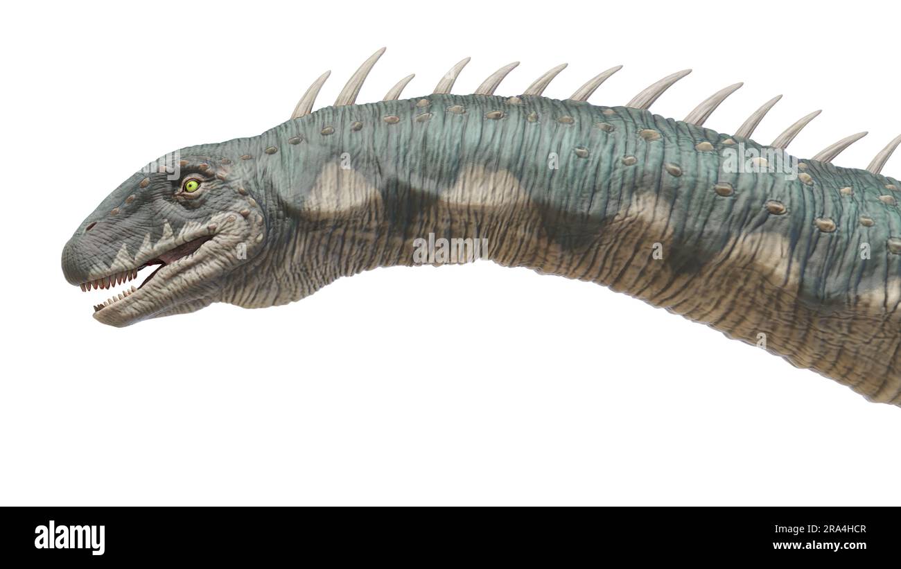 Barapasaurus dinosaur, illustration Stock Photo - Alamy