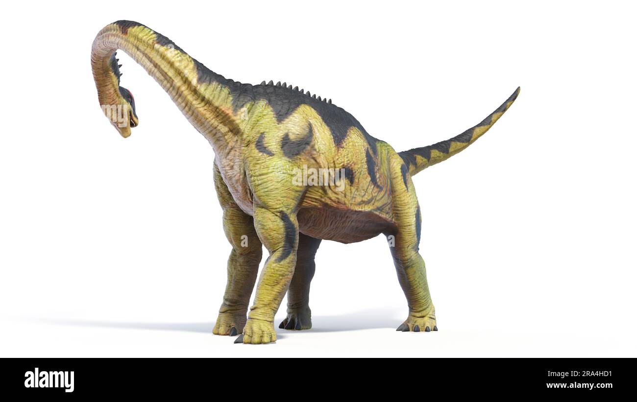 Camarasaurus dinosaur, illustration Stock Photo - Alamy
