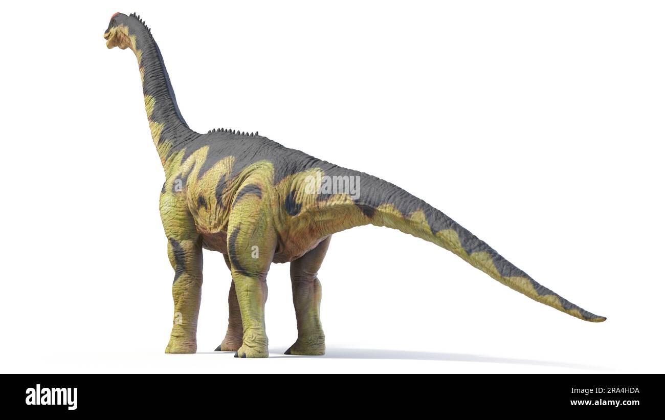 Camarasaurus dinosaur, illustration Stock Photo - Alamy