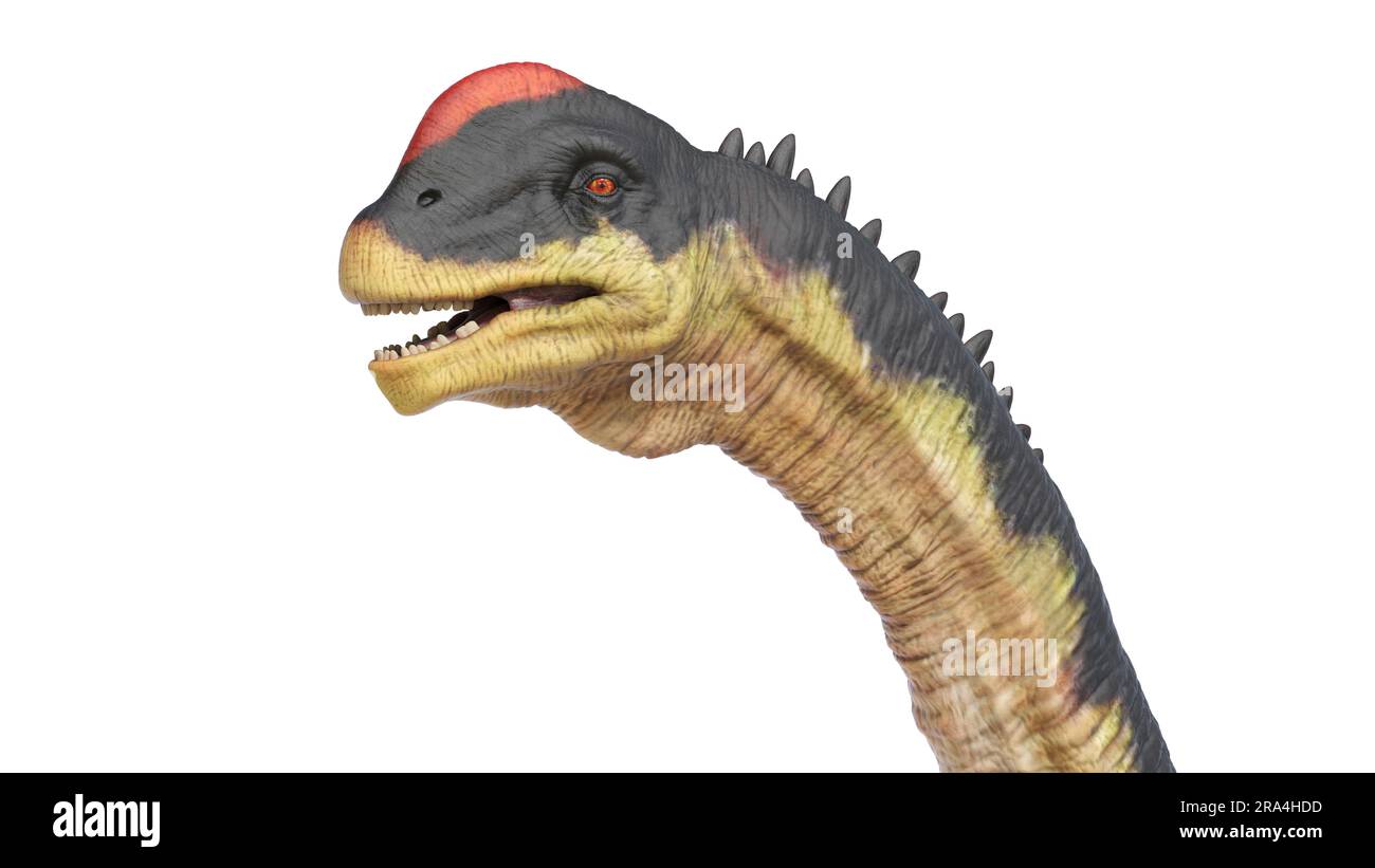 Camarasaurus dinosaur, illustration Stock Photo - Alamy
