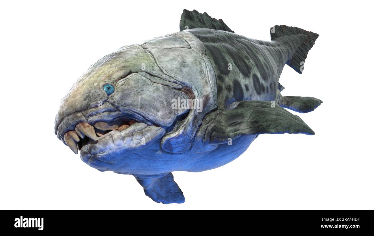 Dunkleosteus prehistoric fish, illustration Stock Photo - Alamy