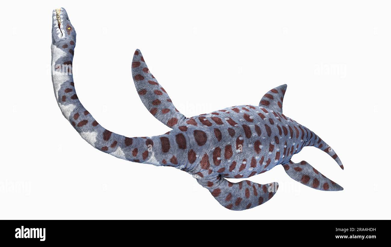 Attenborosaurus plesiosaur, illustration Stock Photo - Alamy