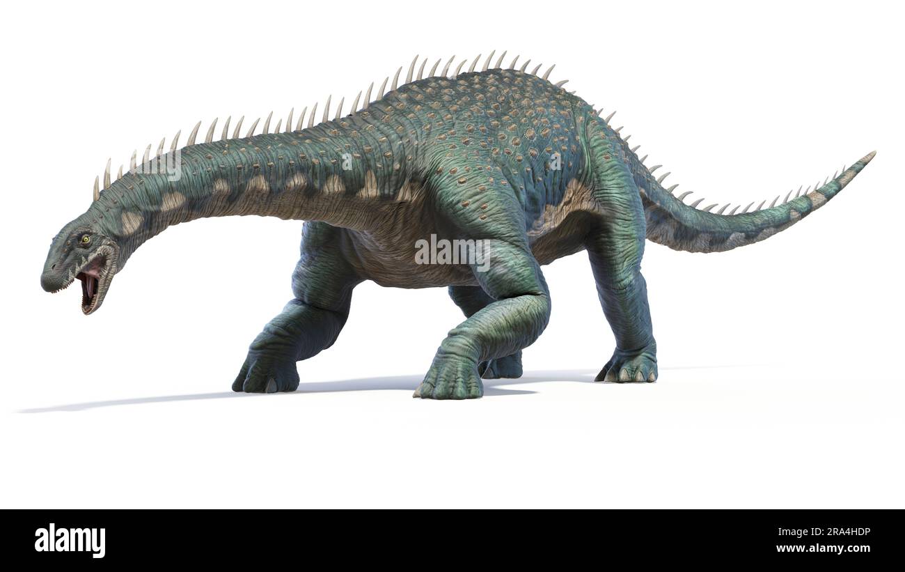 Barapasaurus Skeleton