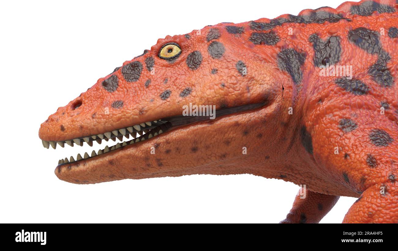 Eryops prehistoric amphibian, illustration Stock Photo - Alamy