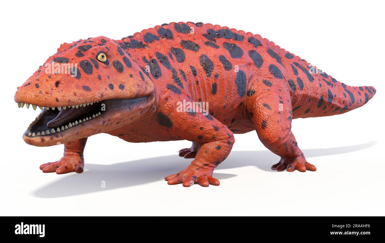 Eryops prehistoric amphibian, illustration Stock Photo - Alamy