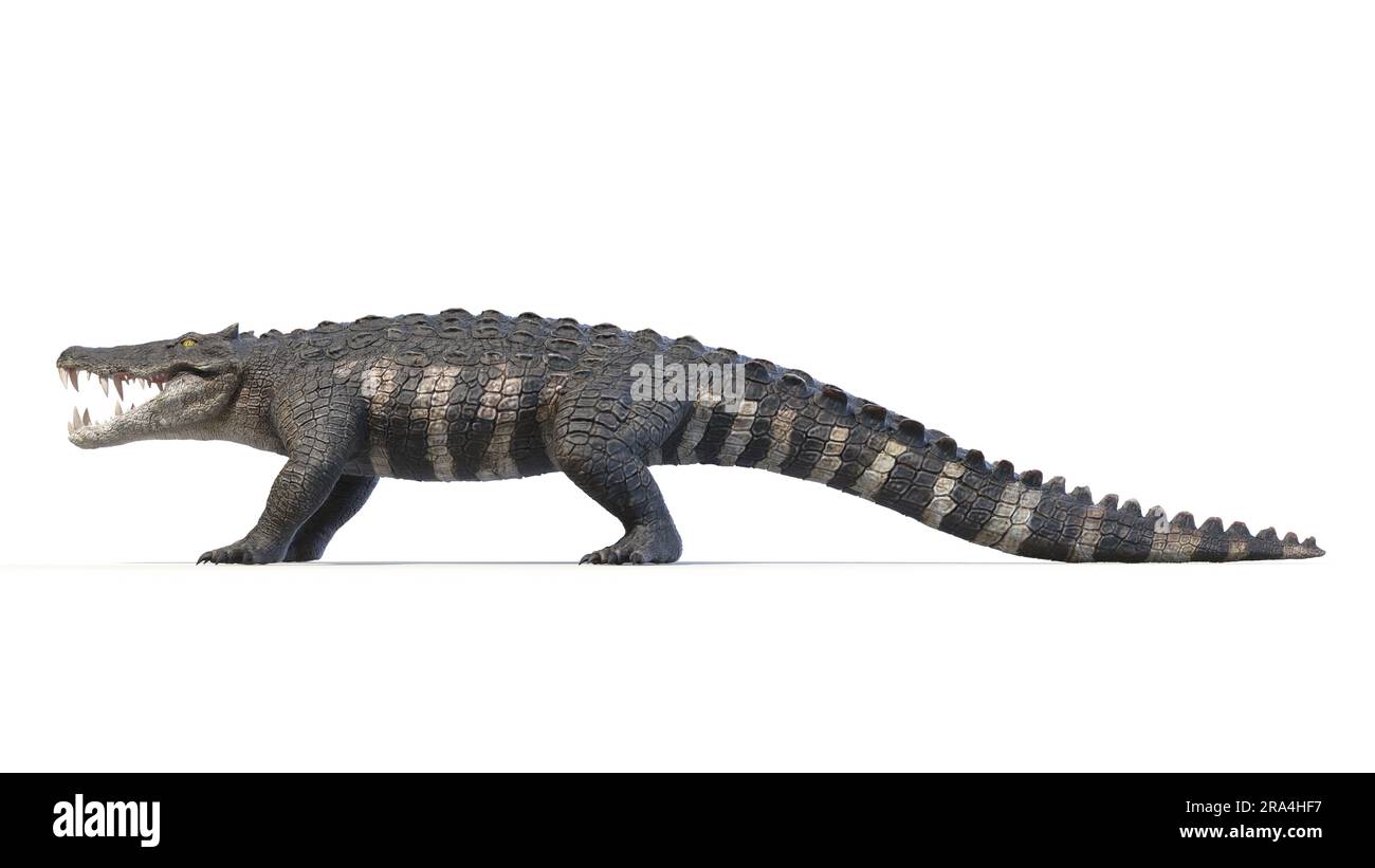 Kaprosuchus prehistoric crocodile, illustration Stock Photo - Alamy