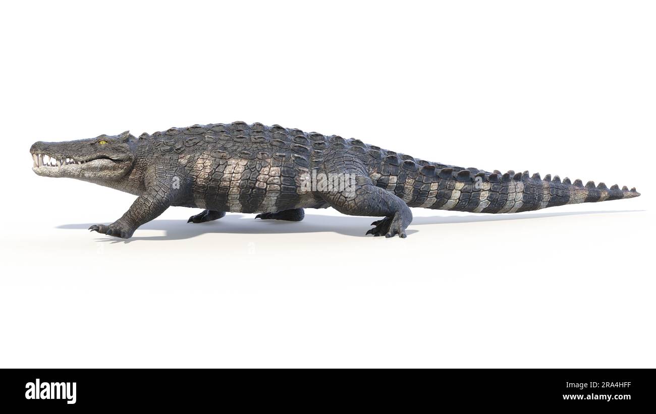 Kaprosuchus prehistoric crocodile, illustration Stock Photo - Alamy