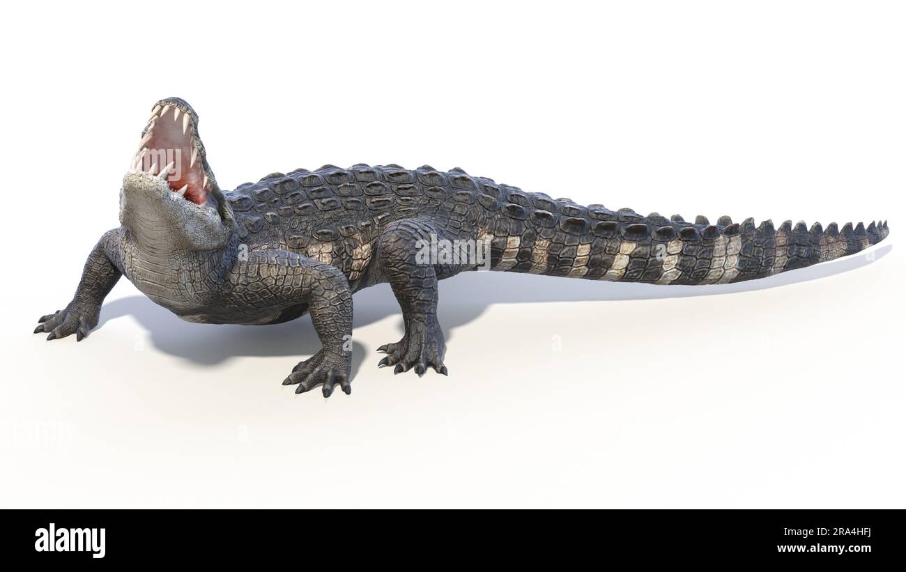 Kaprosuchus prehistoric crocodile, illustration Stock Photo - Alamy