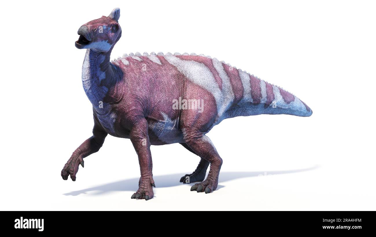 Edmontosaurus dinosaur, illustration Stock Photo - Alamy