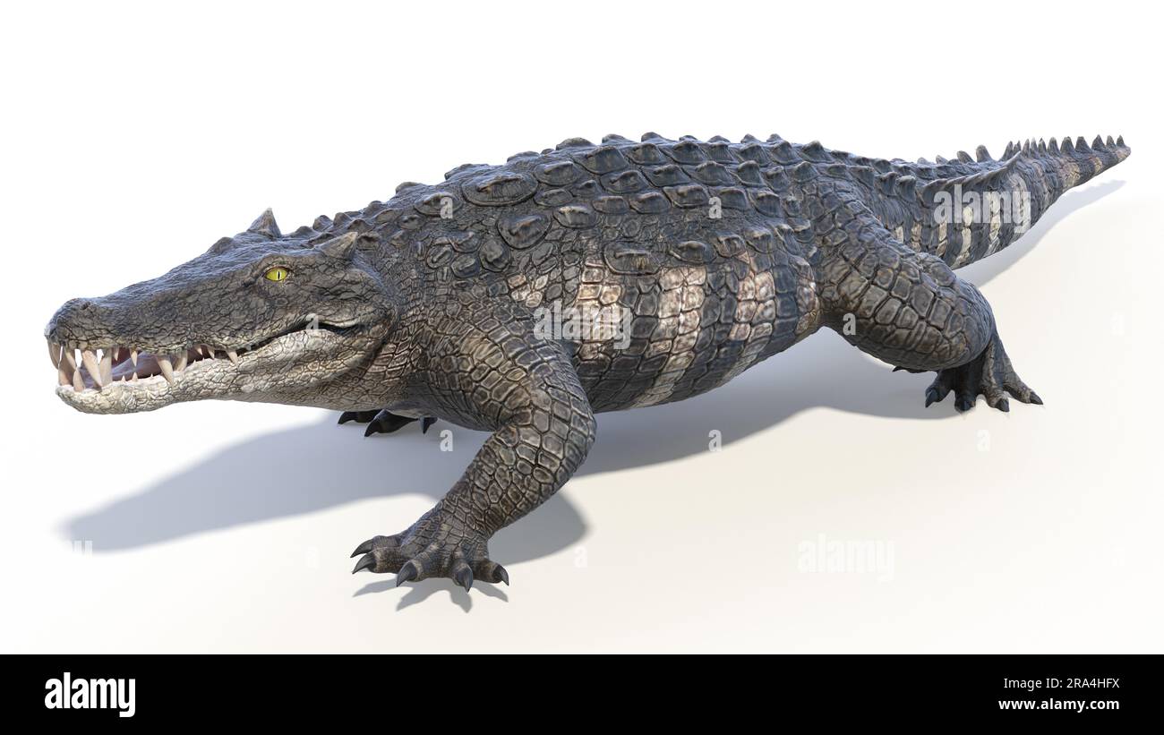 Kaprosuchus prehistoric crocodile, illustration Stock Photo - Alamy